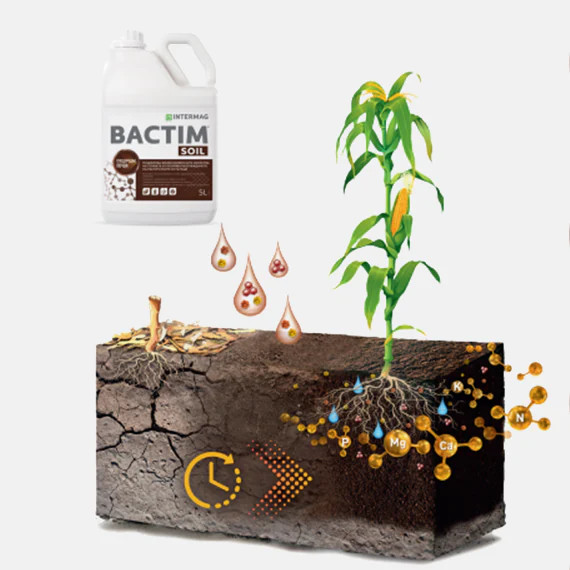 Регенерация и плодородие на почвите с BACTIM®SOIL от фирма Интермаг